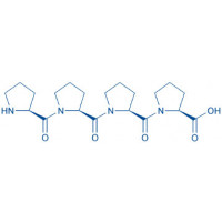 H-Pro-Pro-Pro-Pro-OH 01-H-4800 | CymitQuimica