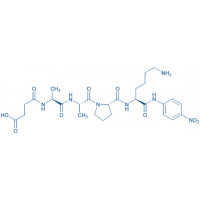 Suc-Ala-Ala-Pro-Lys-pNA 01-4017329 | CymitQuimica