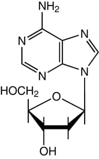 2'-Deoxyadenosine 02-J63886 | CymitQuimica