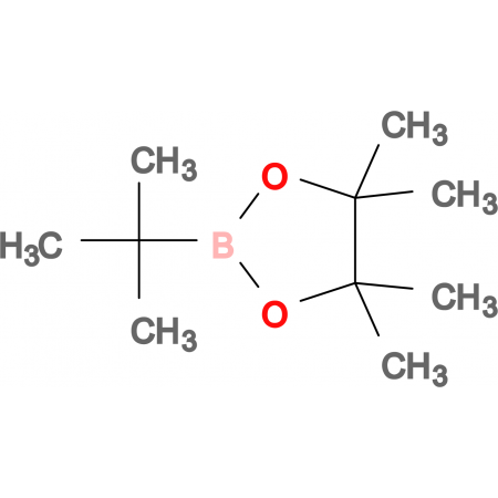 2-(tert-Butyl)-4,4,5,5-tetramethyl-1,3,2-dioxaborolane 10-228819