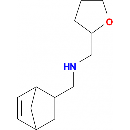 Bicyclo[2.2.1]hept-5-en-2-ylmethyl-(tetrahydro-furan-2-ylmethyl)-amine 10-478290