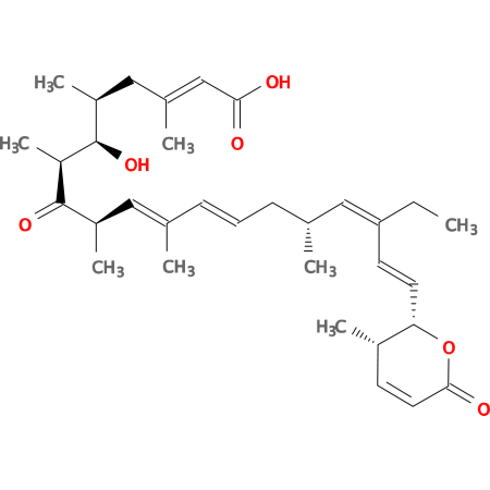 Leptomycin B, Streptomyces sp. ATS1287 10-M02064 | CymitQuimica