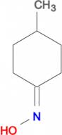 4-Methyl-cyclohexanone oxime 10-060364 | CymitQuimica