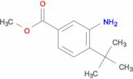methyl 3-amino-4-(tert-butyl)benzoate 10-512073 | CymitQuimica