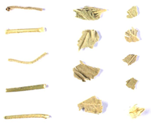 Althaea officinalis 11-B0259 | CymitQuimica