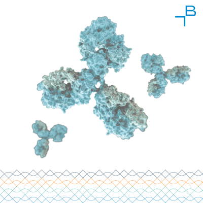 IMMT antibody | CymitQuimica