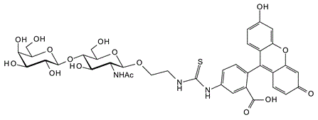 N-Acetyl-D-lactosamine ethyl fluorescein 5-thiou… | Cymit Química S.L.