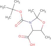 3-[(tert-Butoxy)carbonyl]-2,2,5-trimethyl-1,3-oxazolidine-…