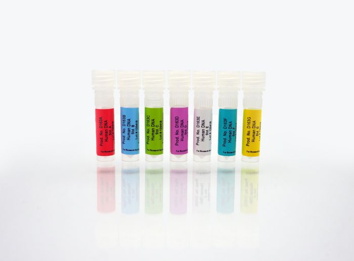 Human DNA Standards Set (A-G), 1mL/vial 5M-D163 | CymitQuimica