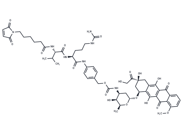 Doxorubicin-MVCP | CymitQuimica