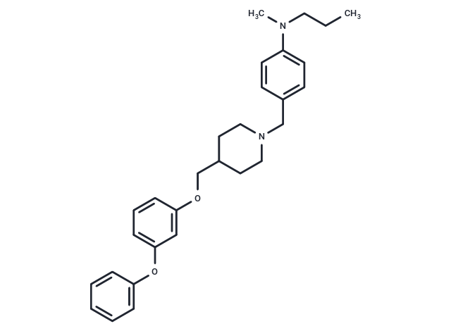 MenA-IN-1 | CymitQuimica