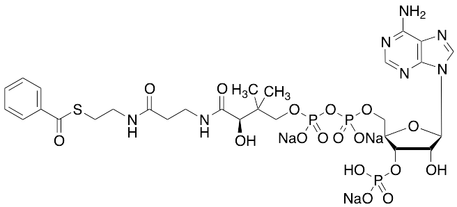 Benzoyl CoA | CymitQuimica